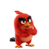 Terence | Angry Birds