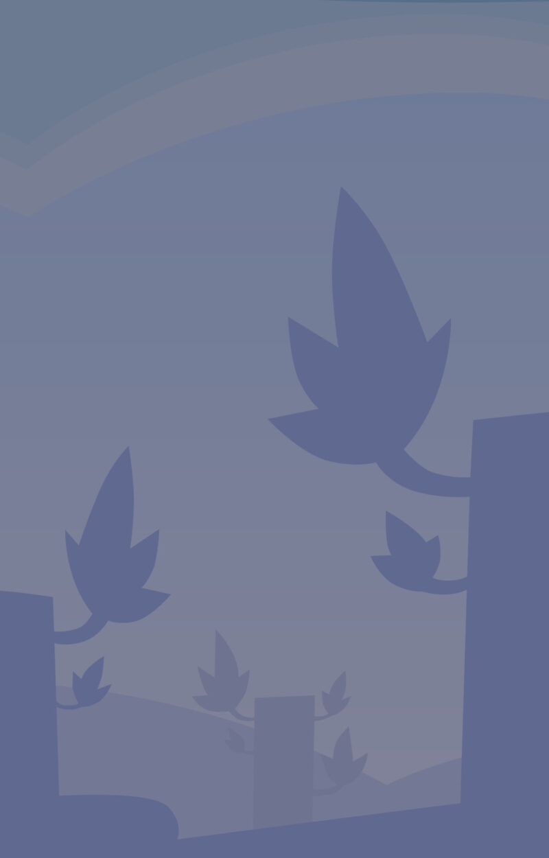 Rovio Classics: Angry Birds | Angry Birds