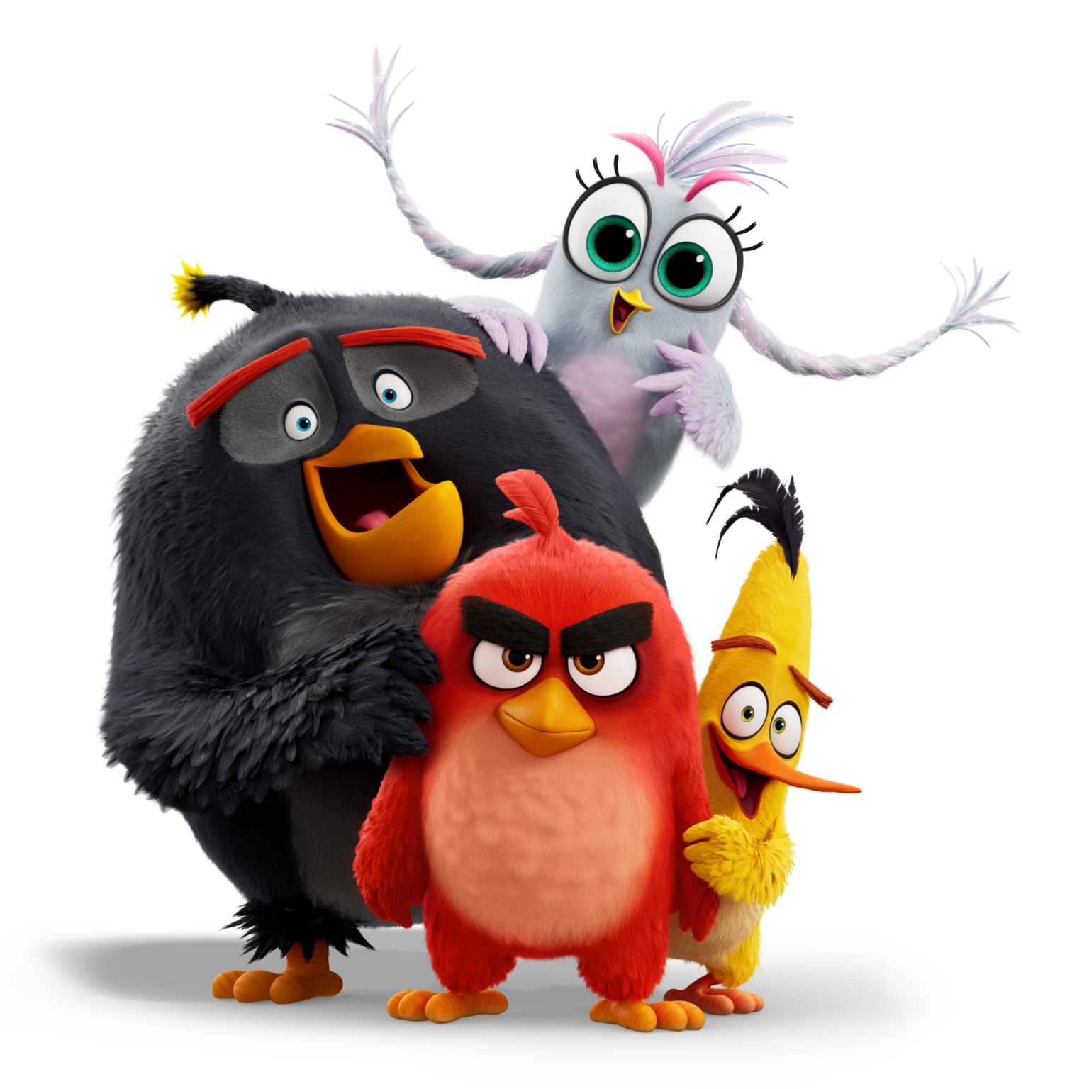 Movie Dimension | Angry Birds
