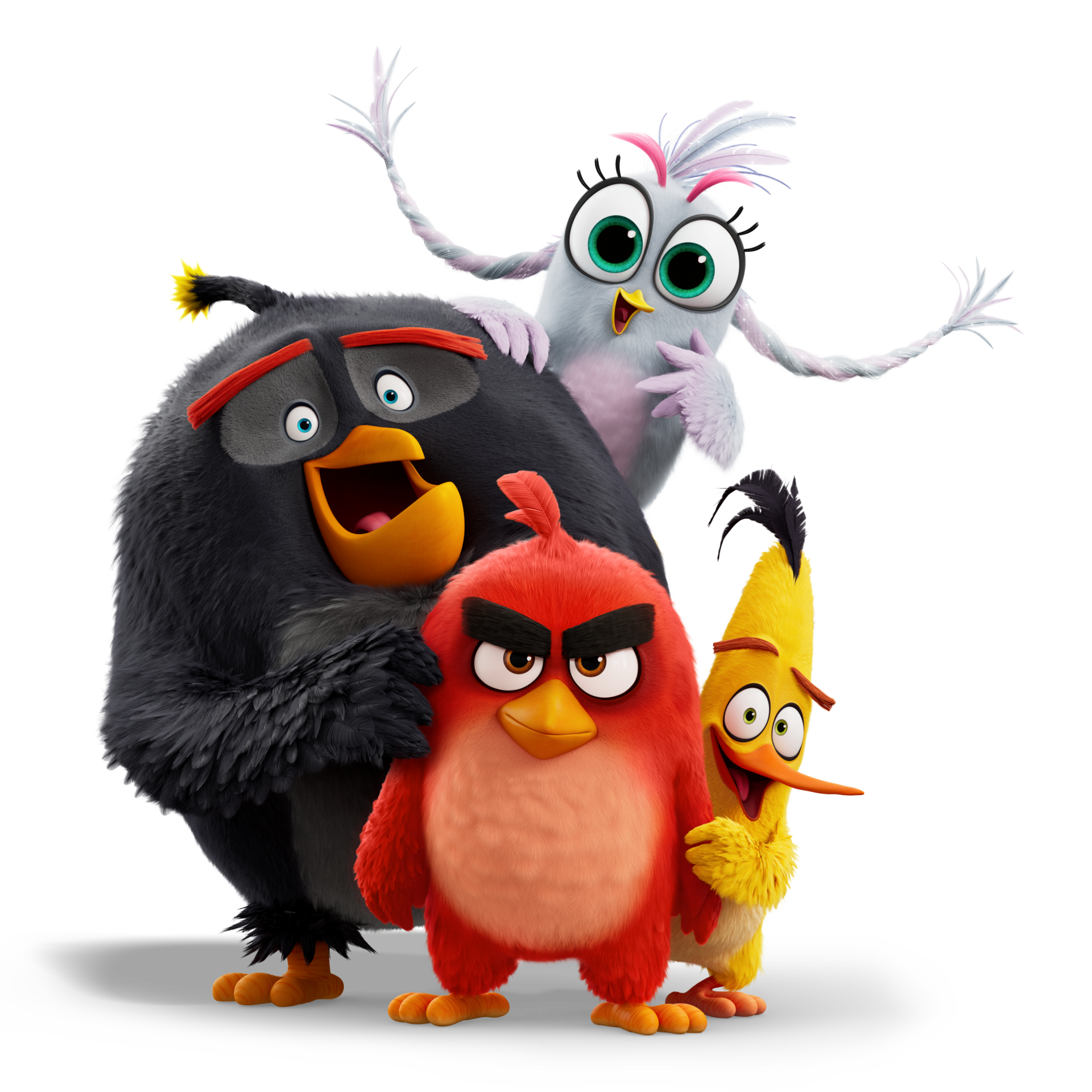 Movie Dimension | Angry Birds