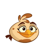 Terence | Angry Birds