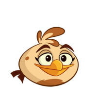 Hal | Angry Birds