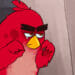 Angry Birds Memes | Angry Birds