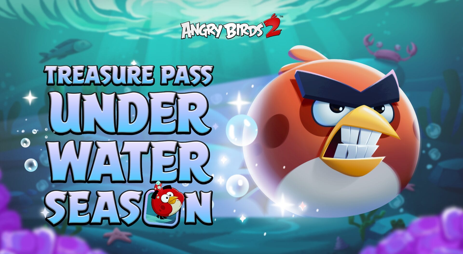 Treasure Pass: Underwater Season | Angry Birds