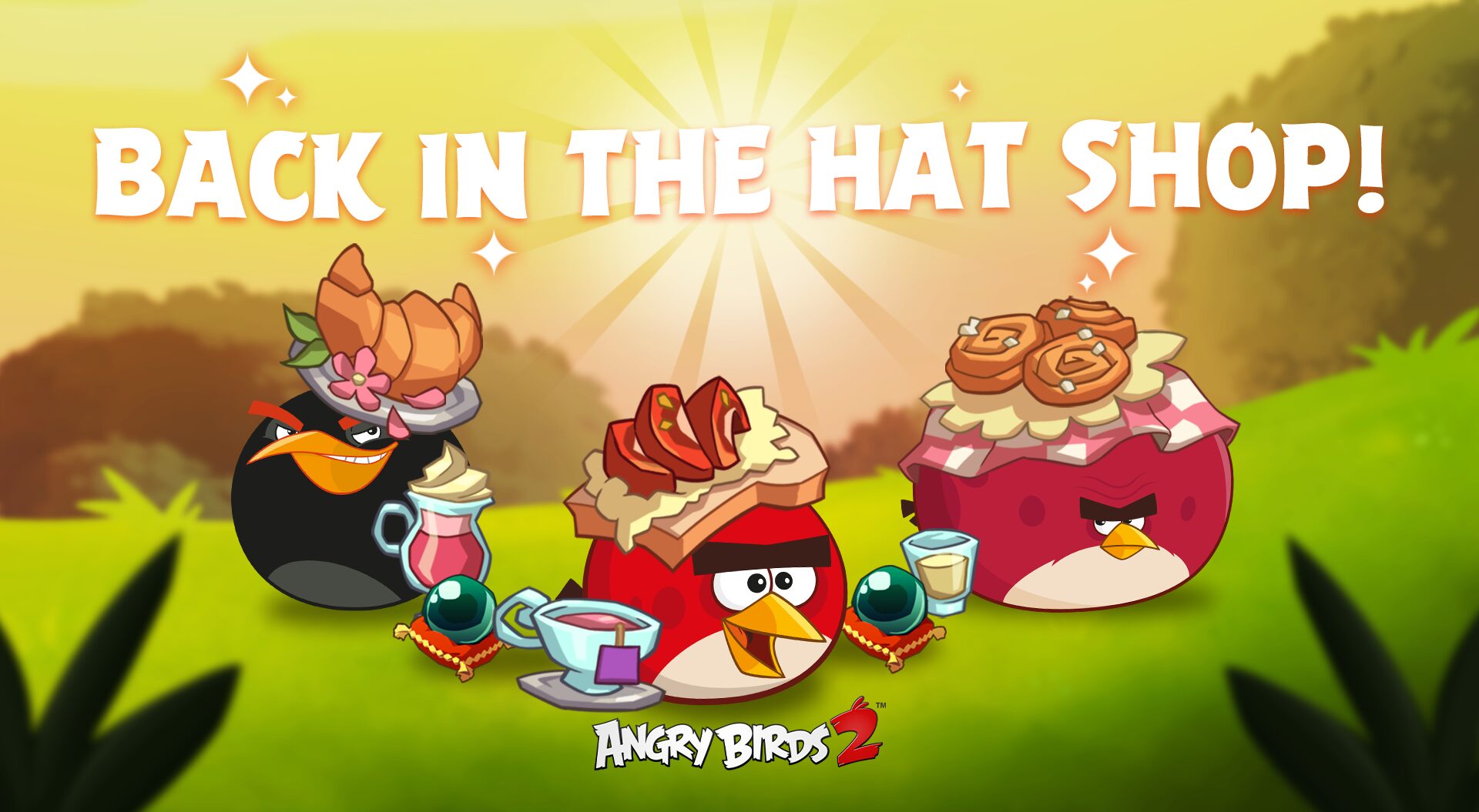 The Picnic Hat Set Returns to the Hat Shop! | Angry Birds